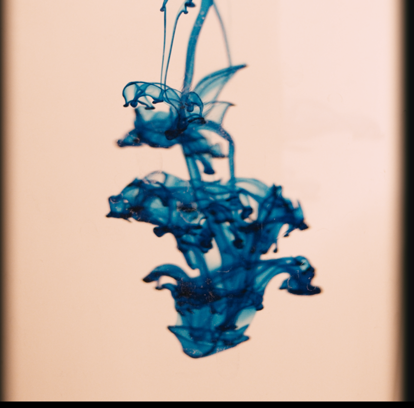 Books & Publications – Tara Stillions Whitehead